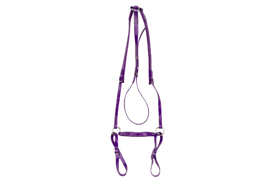 Saddlery & harnesses