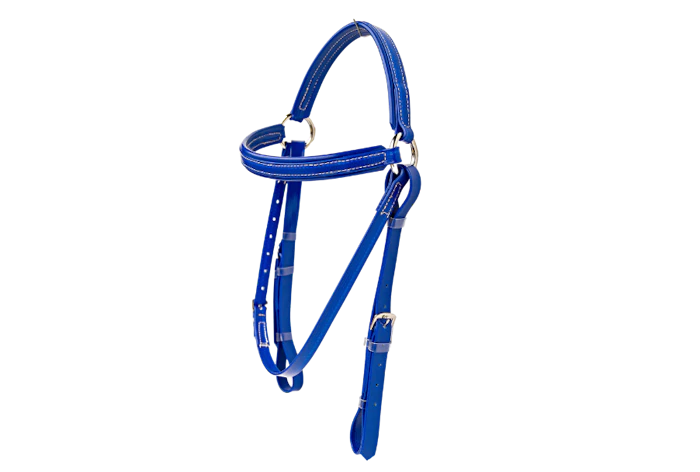 Saddlery & harnesses