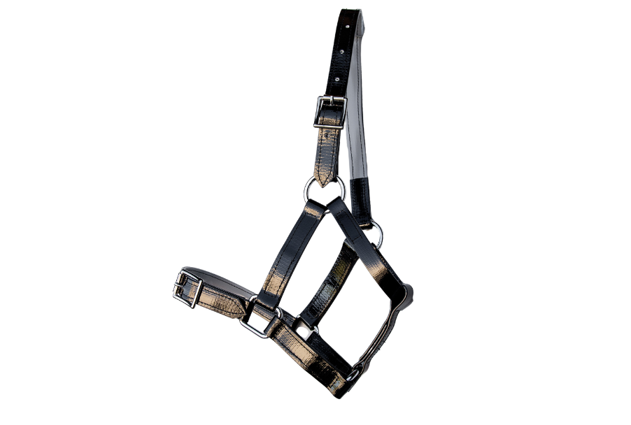 Saddlery & harnesses