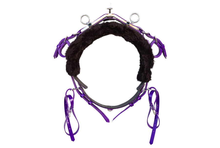 Home [www.auscoatwebbing.com]