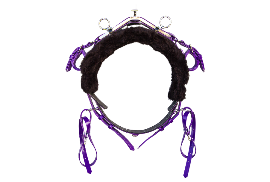 Home [www.auscoatwebbing.com]